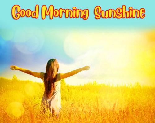 Good Morning Sunshine Wishes and Images