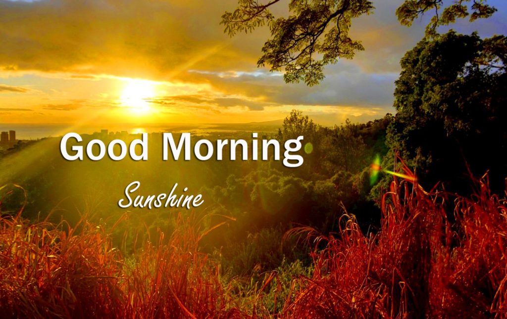 Good Morning Sunshine Wishes and Images
