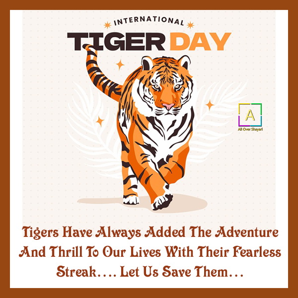 20+ Best International Tiger Day Images, Messages , Quotes