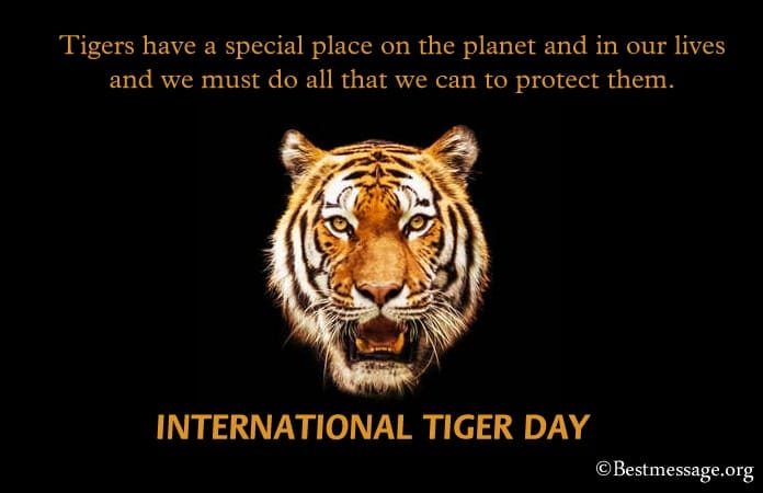 20+ Best International Tiger Day Images, Messages , Quotes