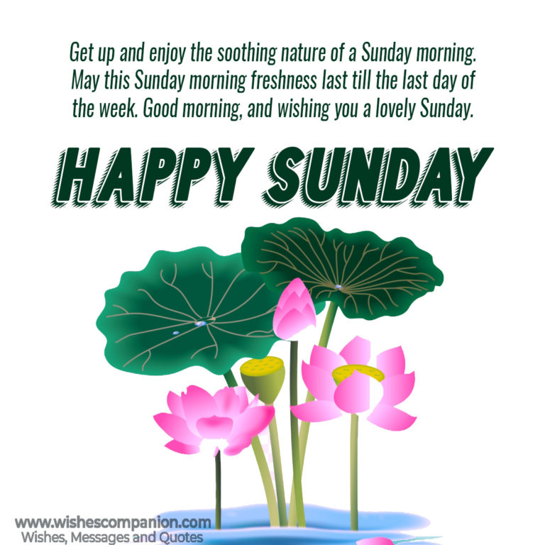 10+ Sunday Morning Greetings - Wishes Companion