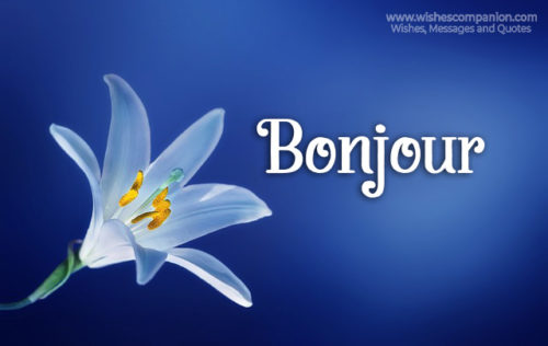 10+ Bonjour Pictures - French Images - Wishes Companion