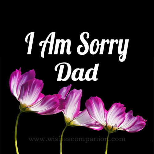 Sorry Messages For Dad - I Am Sorry Father - Wishes Companion