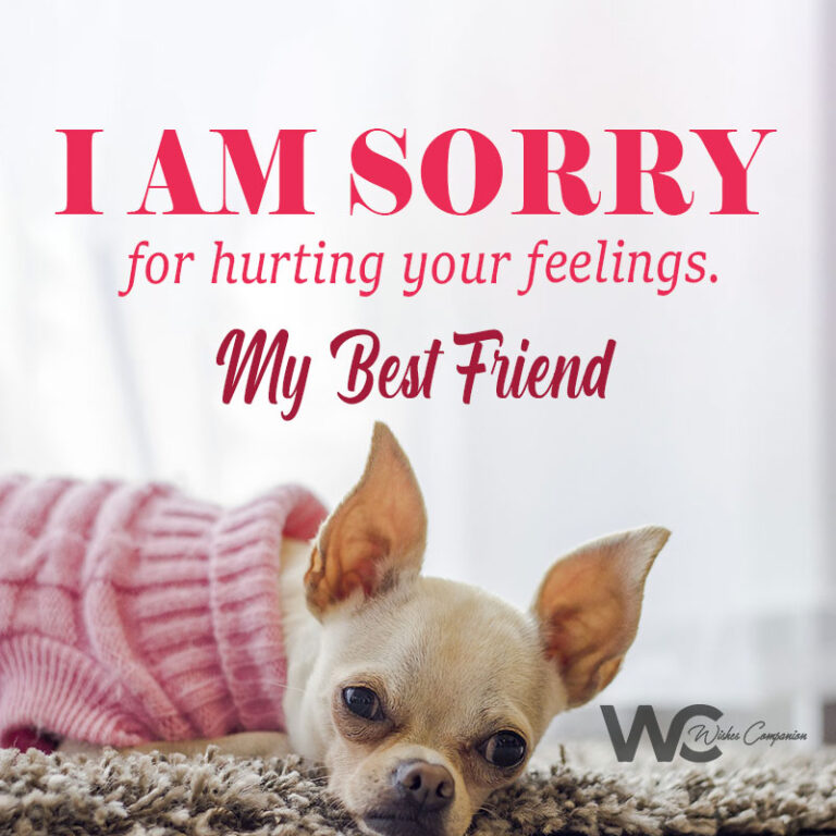 Sorry Messages for Best Friend - Apology Messages for Friends - Wishes ...