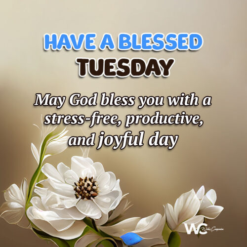 Good Morning Tuesday Blessings Wishes & Images - Wishes Companion