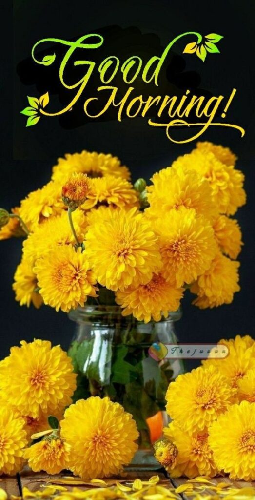50+ Marigold Flower Good Morning Images